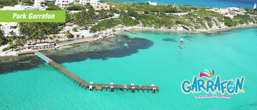 Parque natural Garrafon | Dolphin Discovery